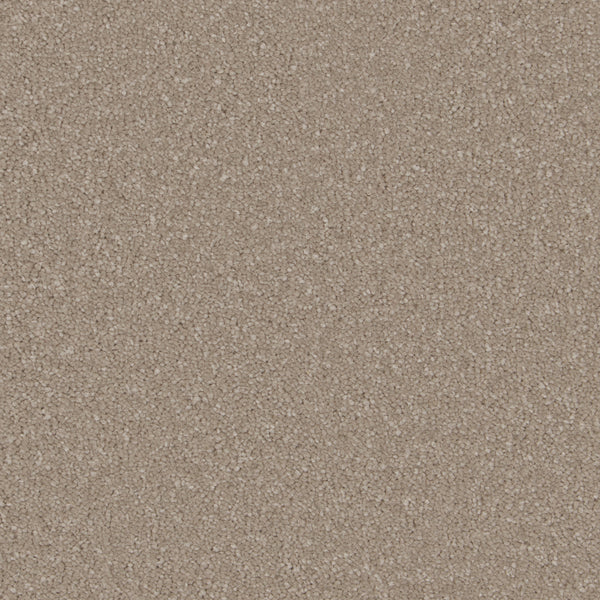 Ultimate Sensation Deep Pile Ammonite | Now Carpets – Now Carpets