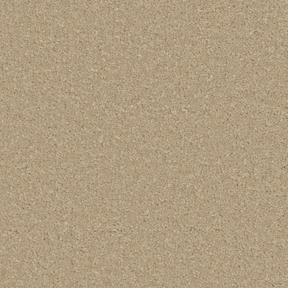 Ultimate Sensation Deep Pile Laguna | Now Carpets – Now Carpets